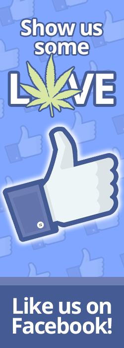 Marijuana Strains & Varieties | Cannabis