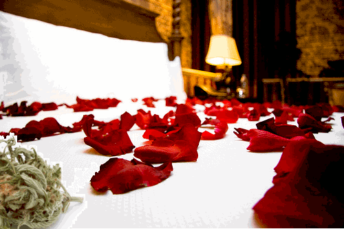 Sex On Weed: Recipe For Bliss