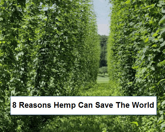 8 Reasons Why Hemp Can Save The Planet