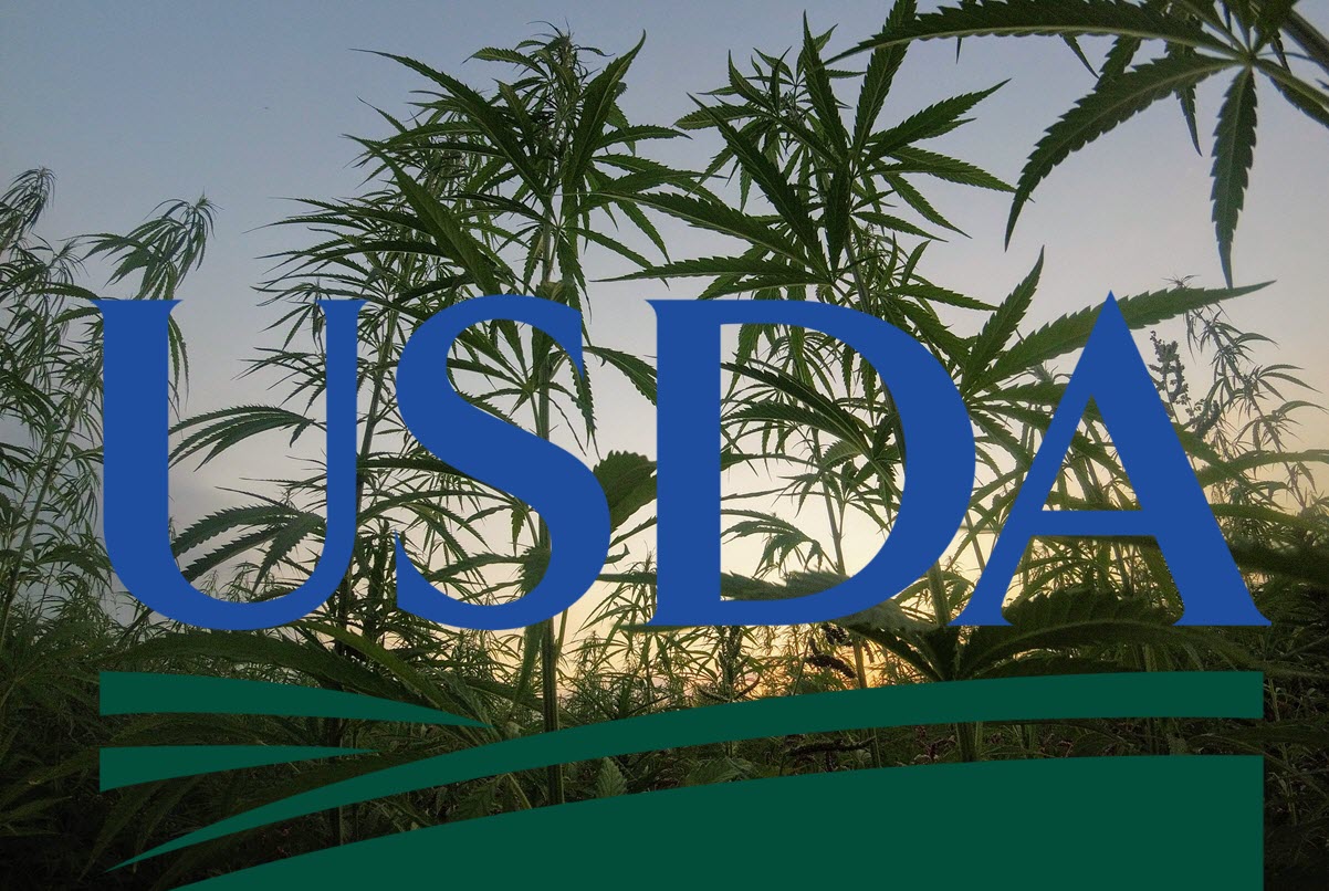 The USDA Approves Colorado's New Hemp Plan, What Does That Mean for ...