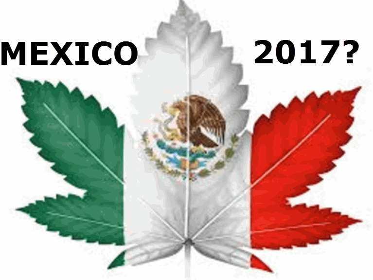 Will Mexico Legalize Cannabis after California voted in 2016?