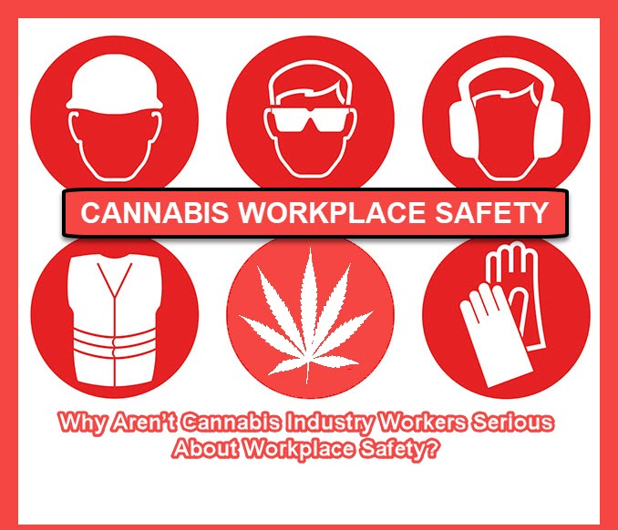 Why Aren’t Cannabis Industry Workers Serious About Workplace Safety?