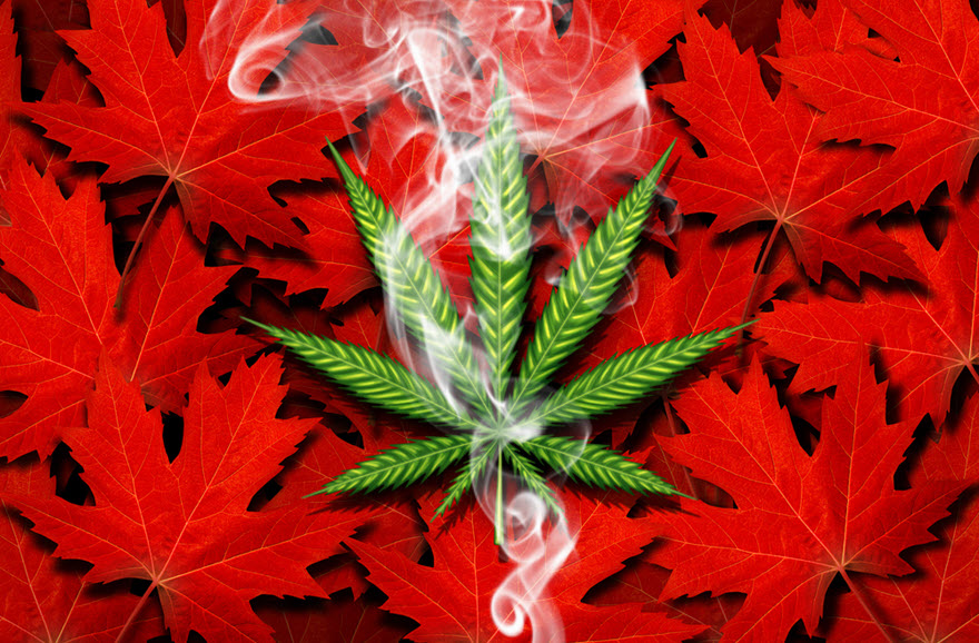 What Can Other Countries Learn From First Mover Canada s Shrinking 