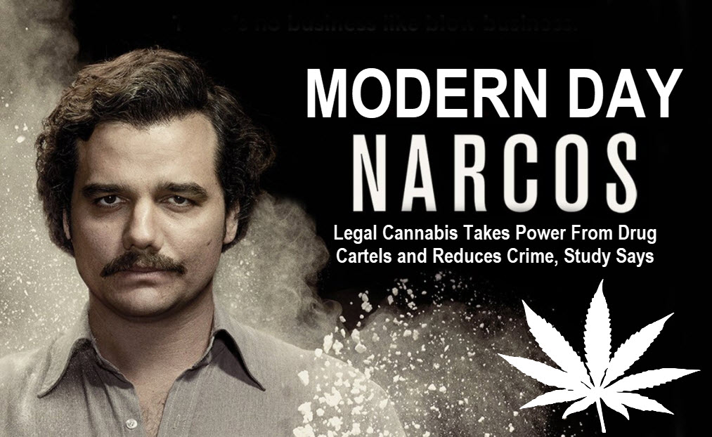 Modern Day Narcos: Legal Cannabis Cuts Cartels Power and Reduces Crime