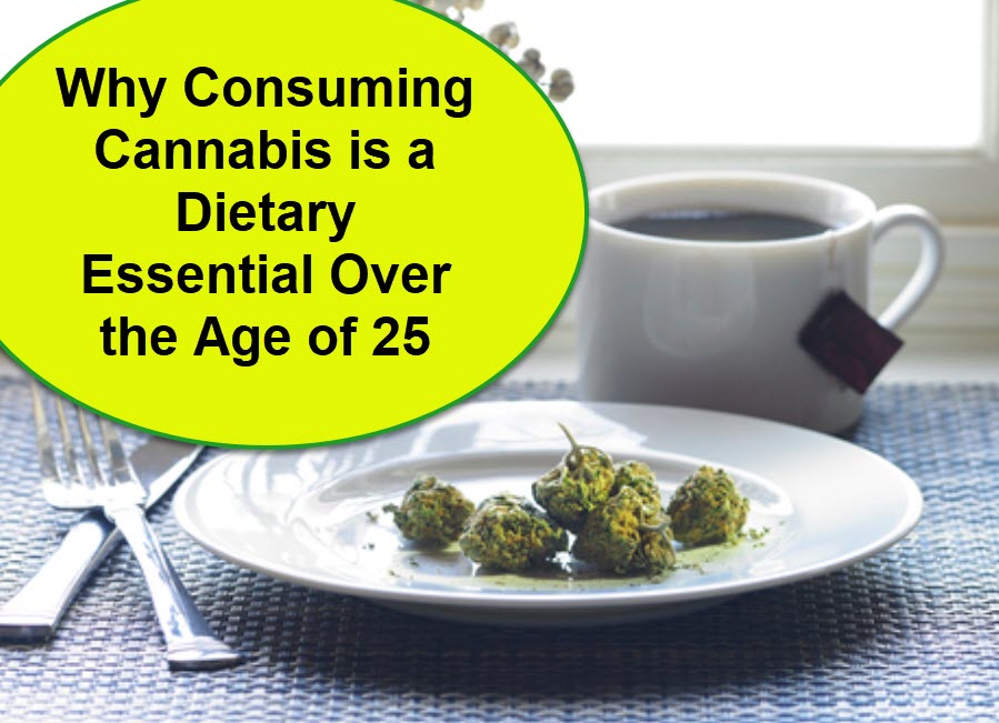 Why Consuming Cannabis Is A Dietary Essential Over The Age Of 25