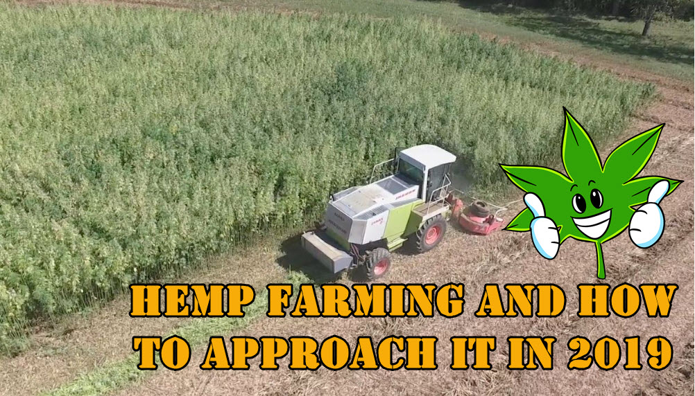 Hemp Farming and How to Approach It in 2019