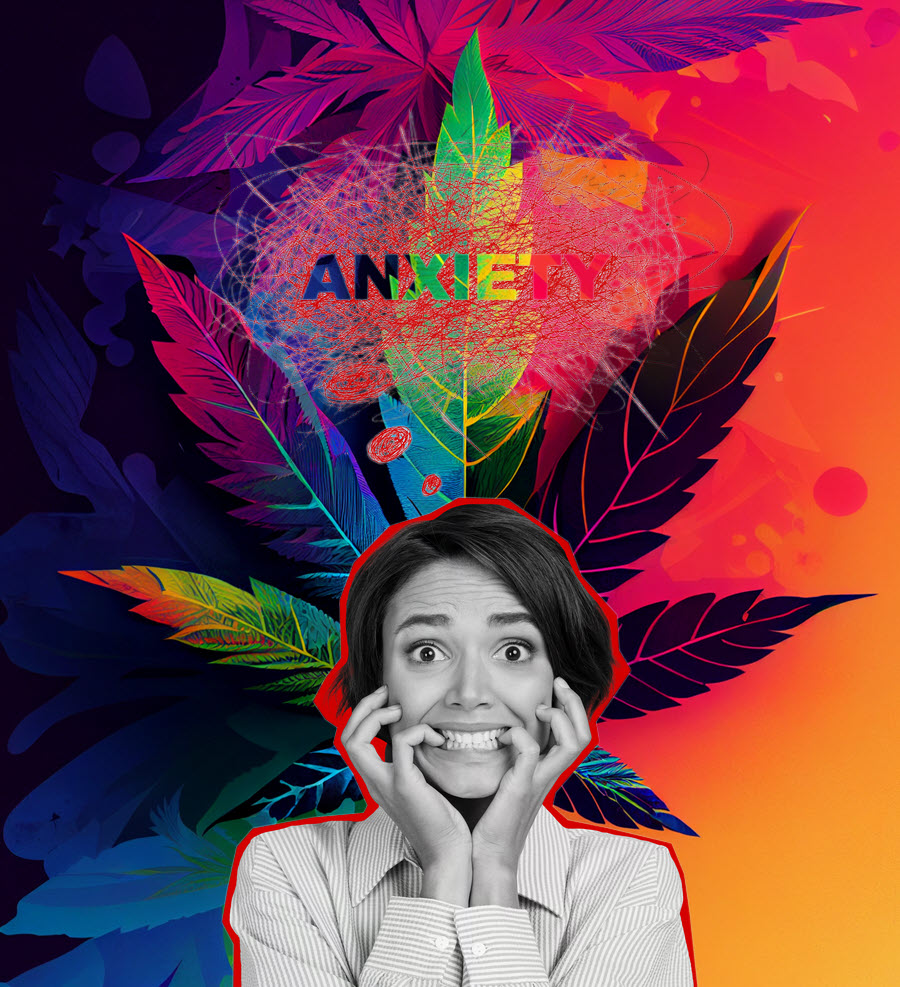 The Best High-CBD Strains for Anxiety Sufferers