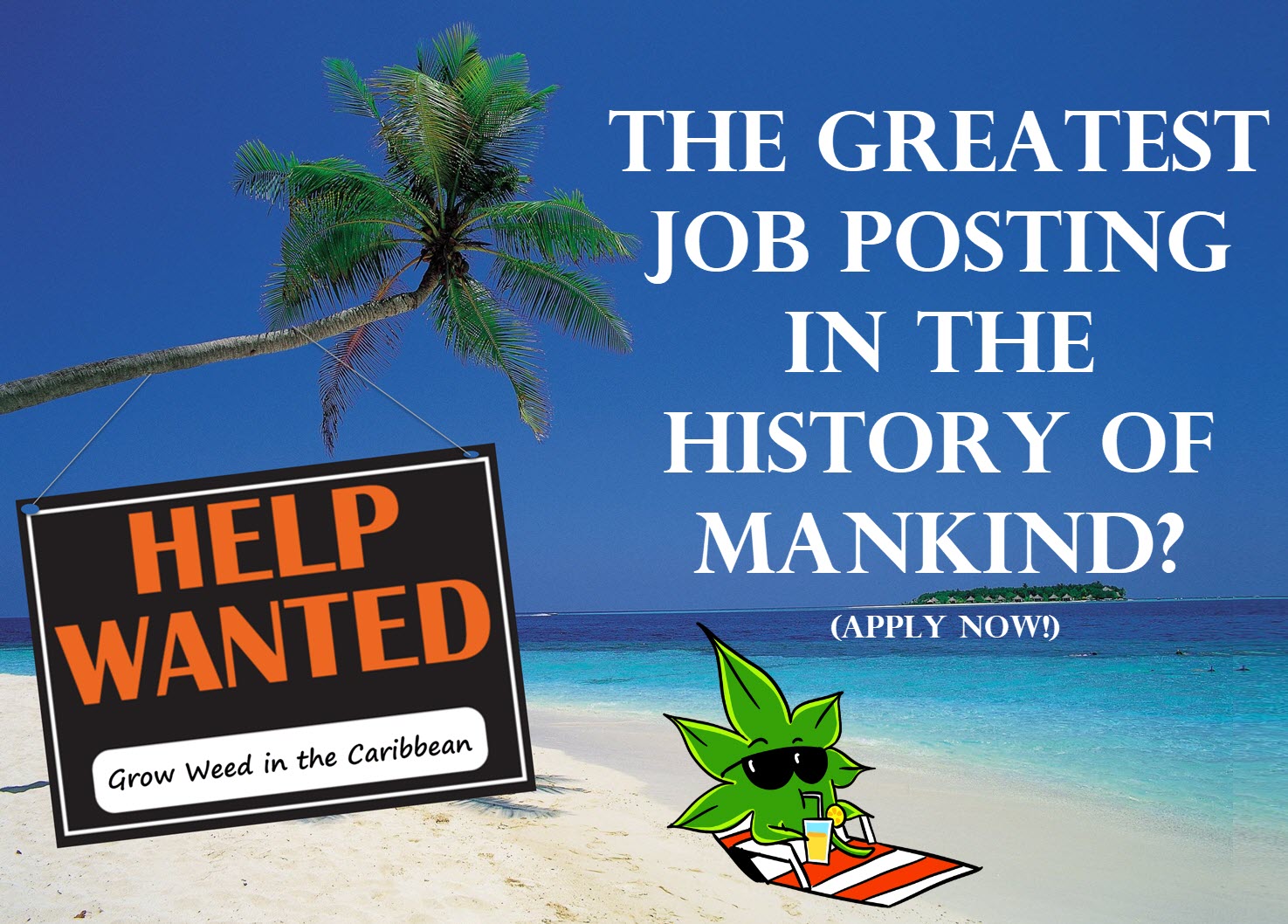 The Greatest Cannabis Job Post In History Weed Growers Needed In The