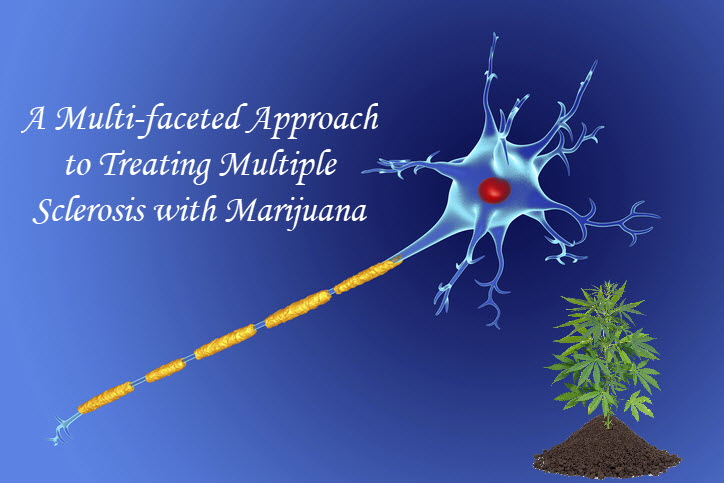 A Multi-Faceted Approach to Treating Multiple Sclerosis with Marijuana