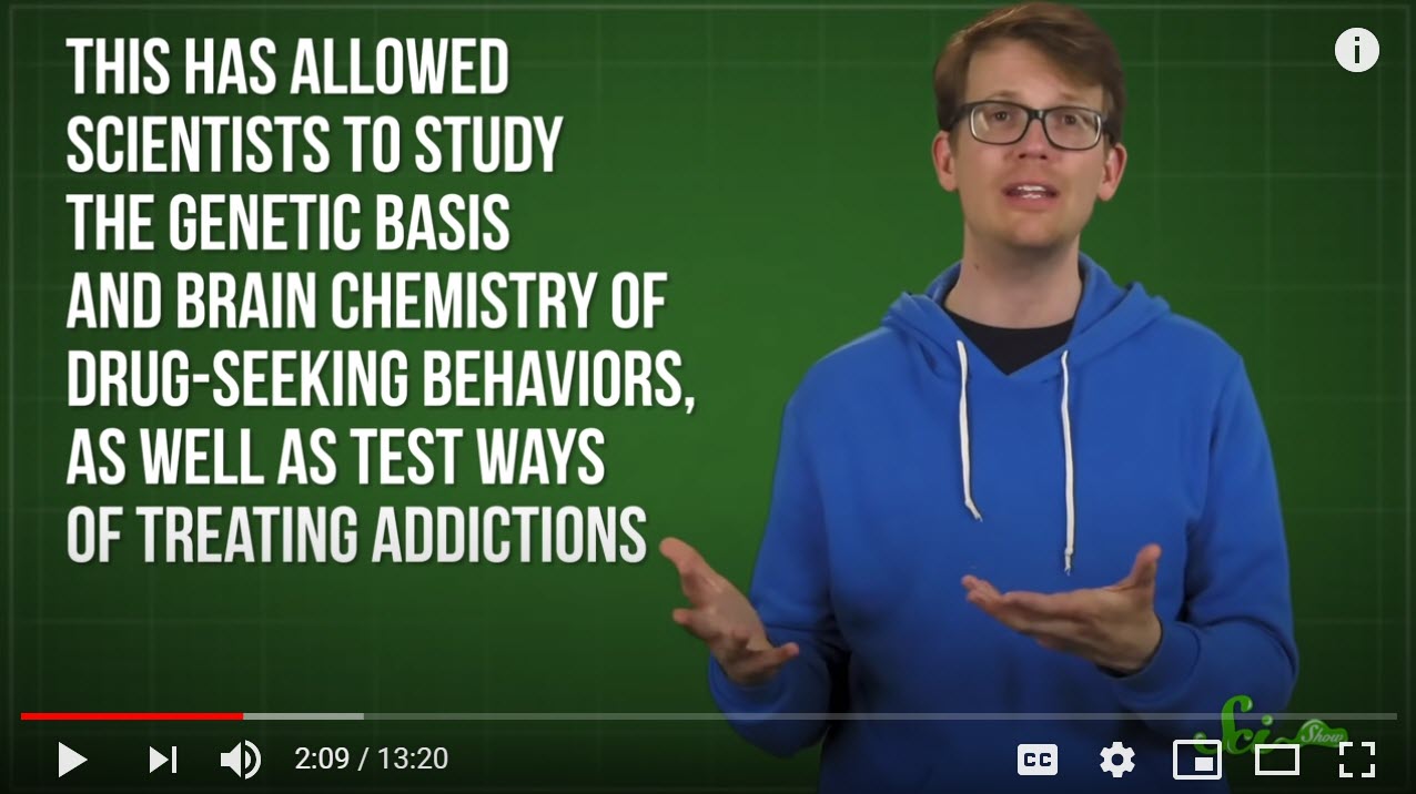 Why Do Humans Like to Get High? (Science Can Explain It)