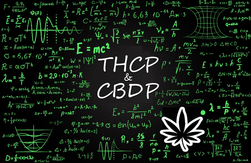 What Is CBDP The Best Cannabinoid Yet 