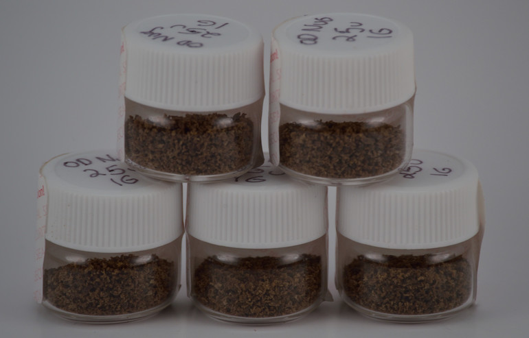 Sun-Grown Nug Run 25µ Full Melt | Concentrate | The Health Collective ...
