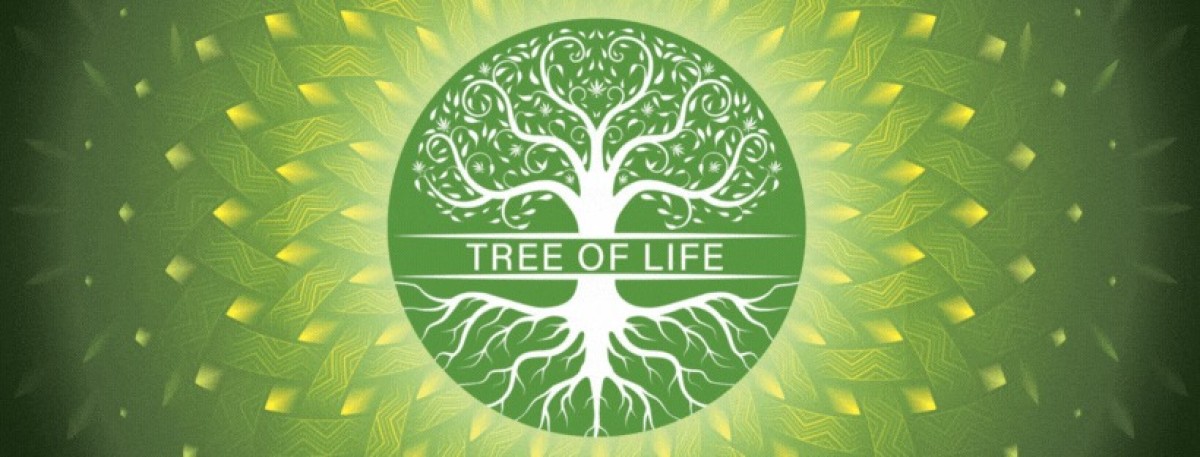 Tree of Life Weed Dispensary Las Vegas - , , | Cannabis
